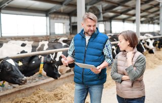 Feed production software for livestock and dairy operations