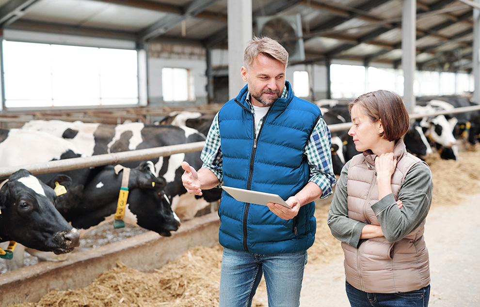 Feed production software for livestock and dairy operations