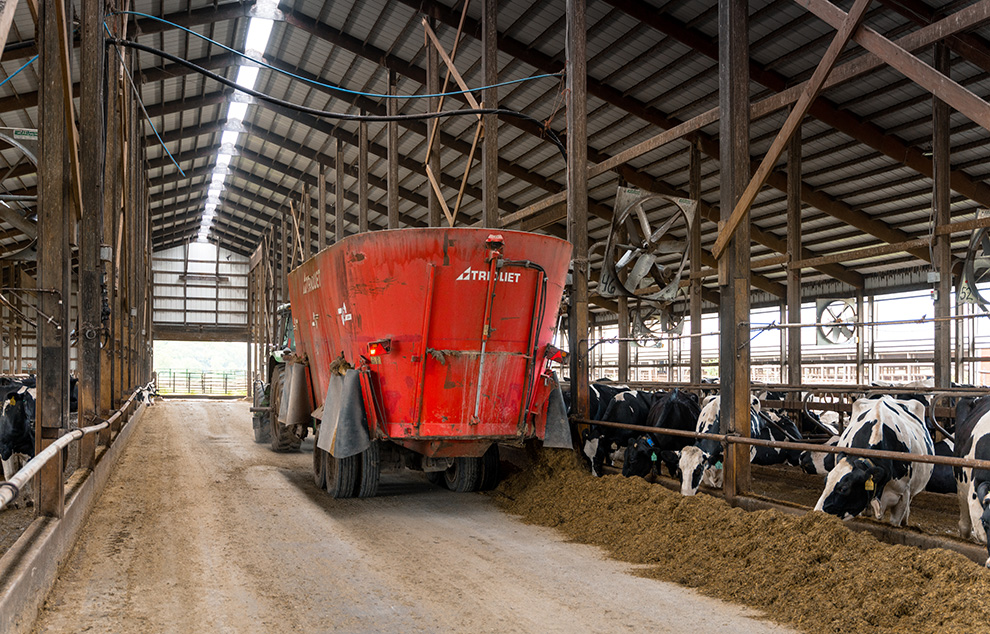 Feed production software for livestock and dairy operations