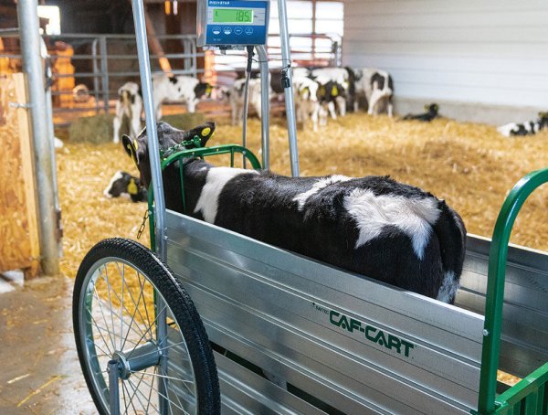 Animal weighing