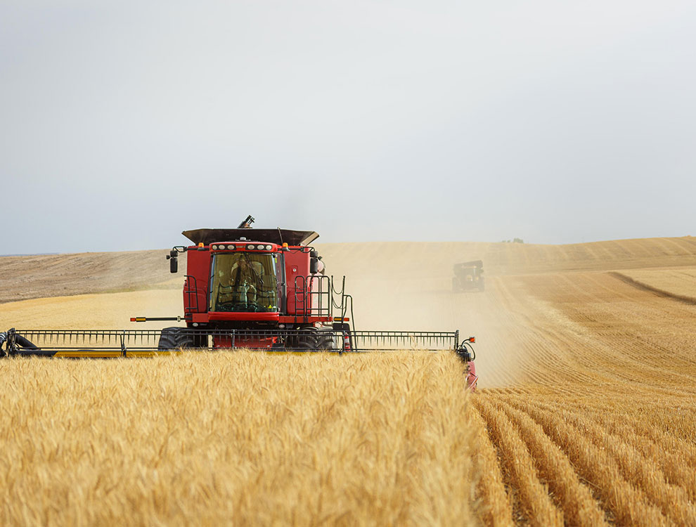 Yield monitoring